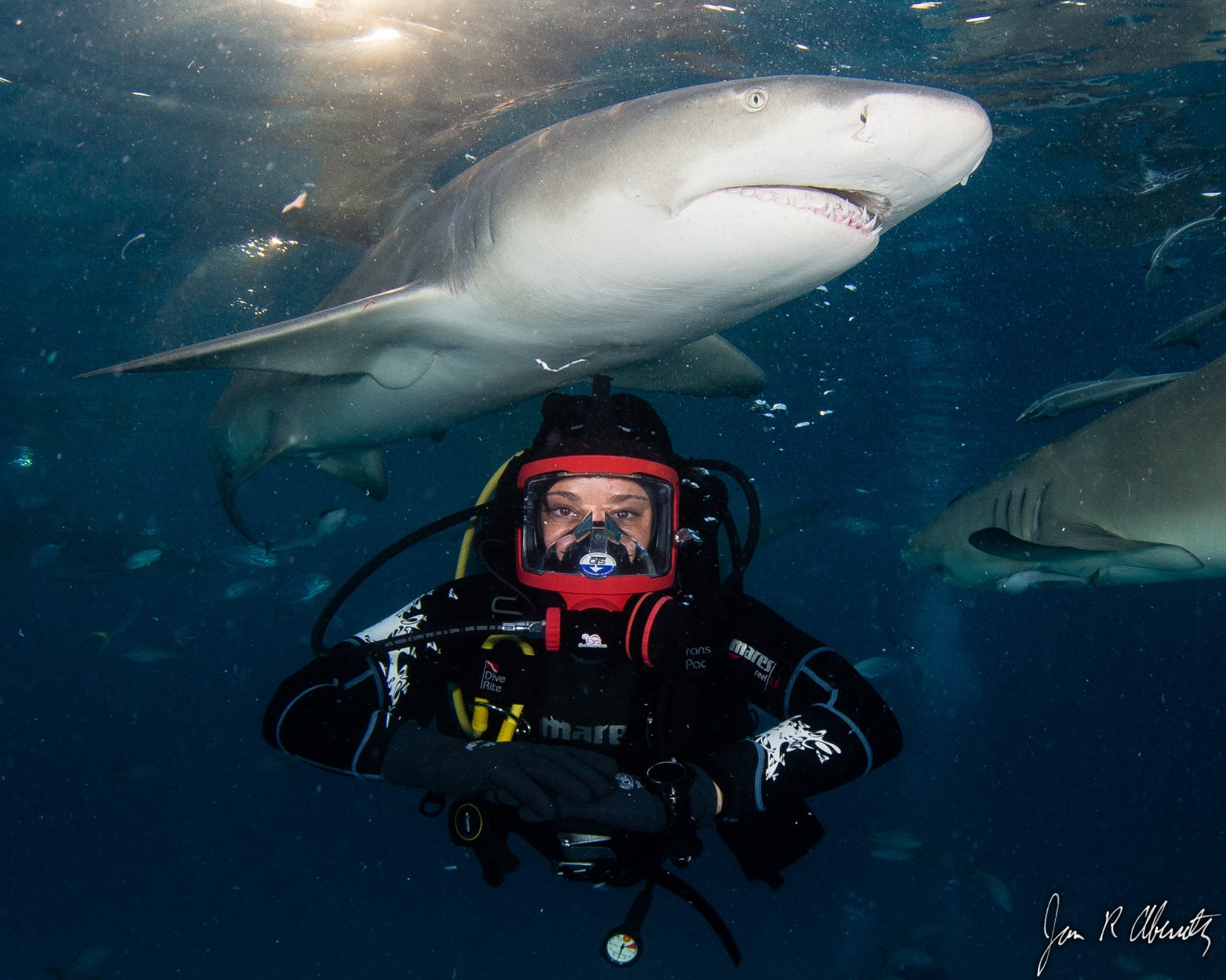 Sport - Ocean Technology Systems