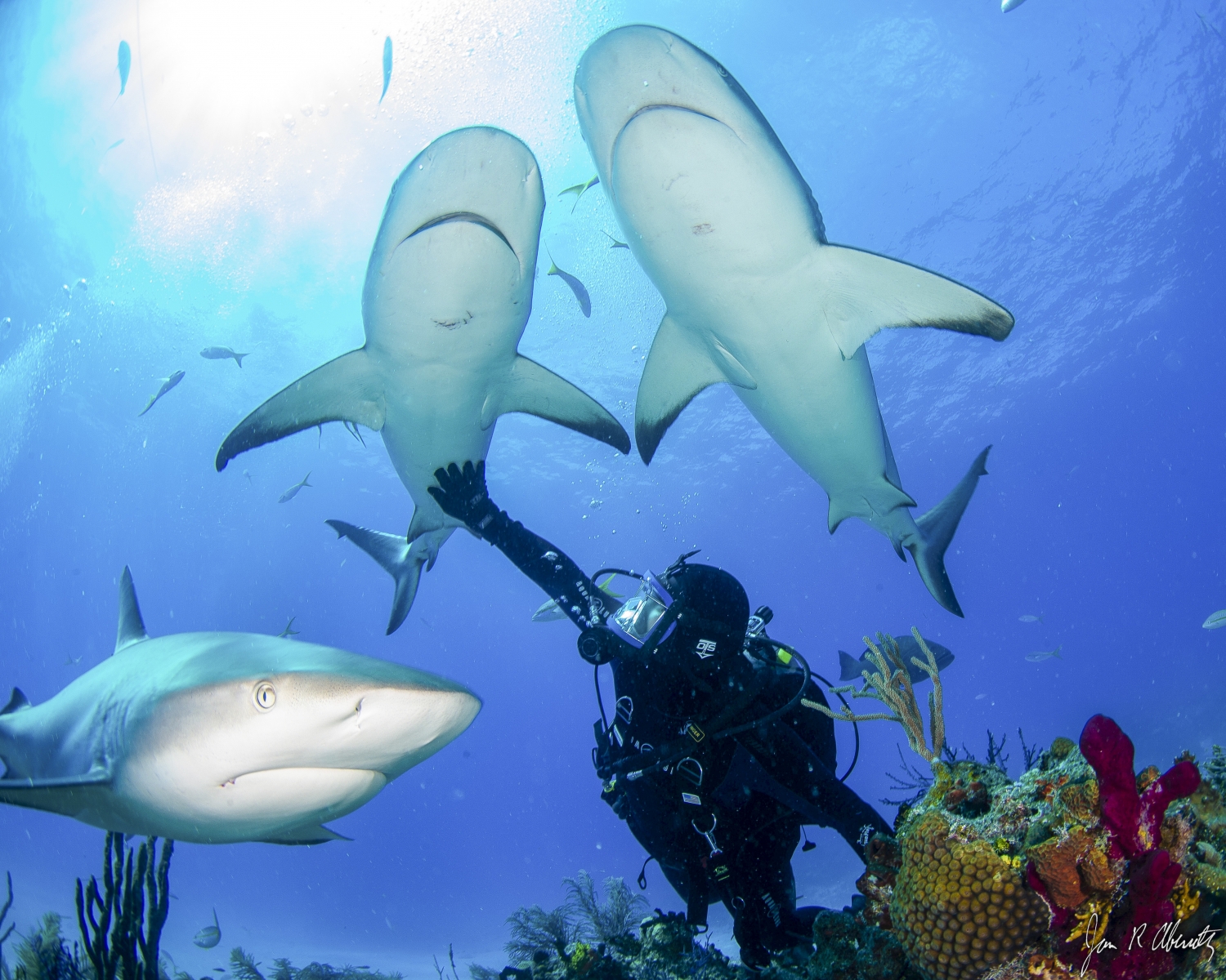 Sport - Ocean Technology Systems